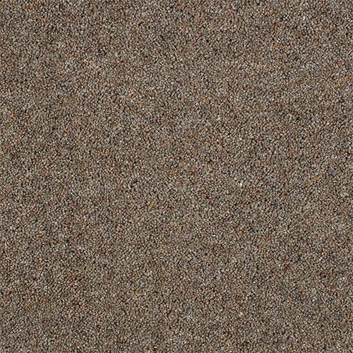CHARTER BERBER DELUXE - Shaw Carpets
