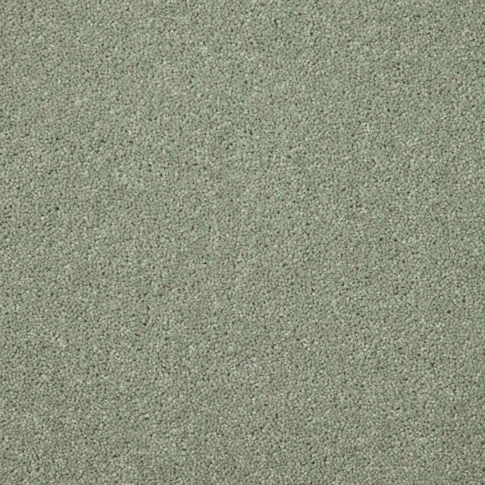 HAMPSTEAD SUPREME - Shaw Carpets