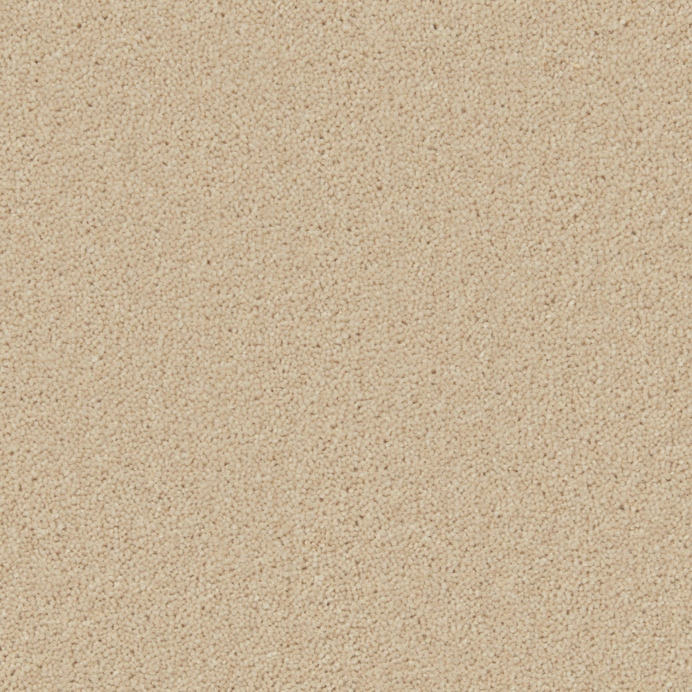 HAMPSTEAD SUPREME - Shaw Carpets