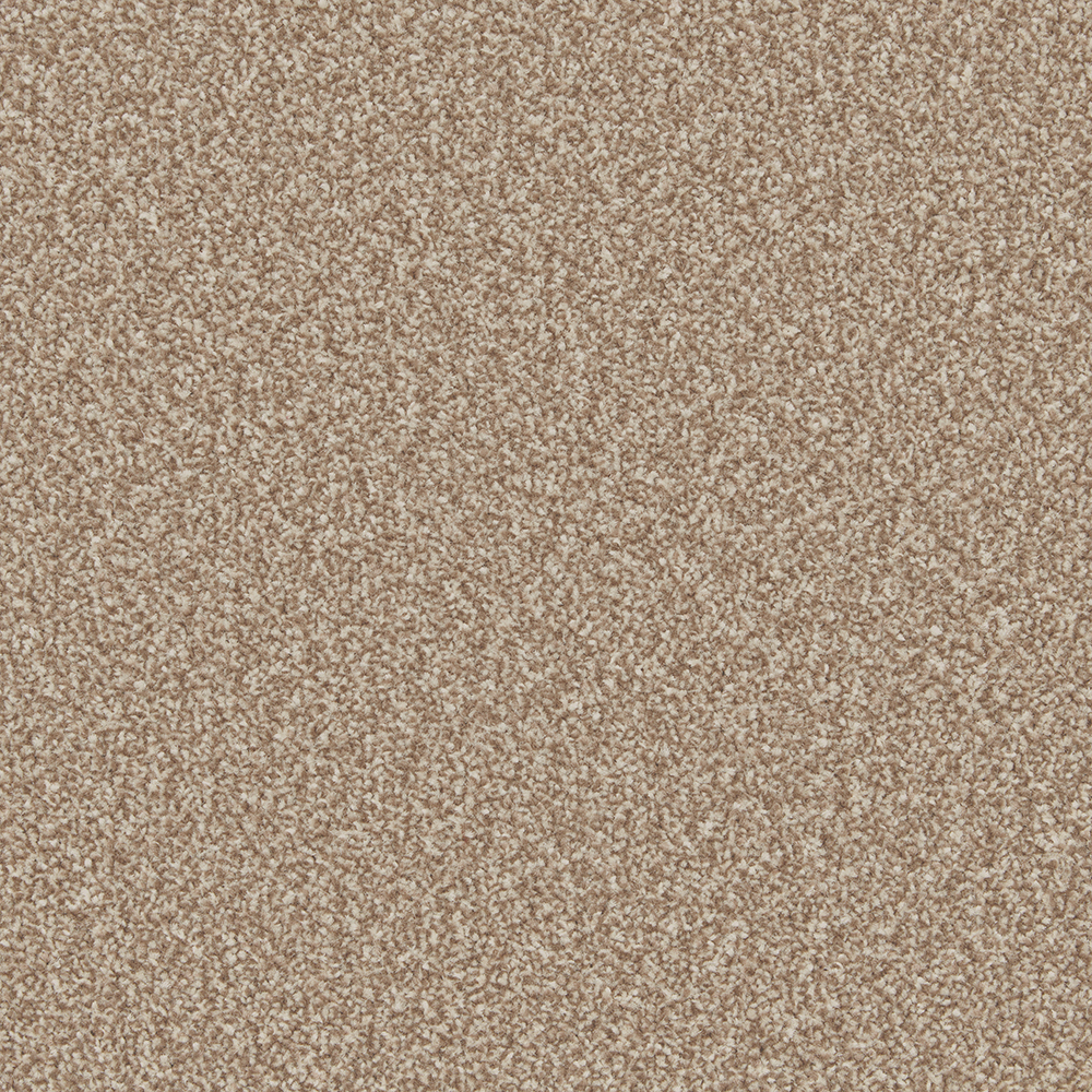 Primo Ultra – Stainfree, Durable, Bleach Cleanable Carpet | Shaw Carpets
