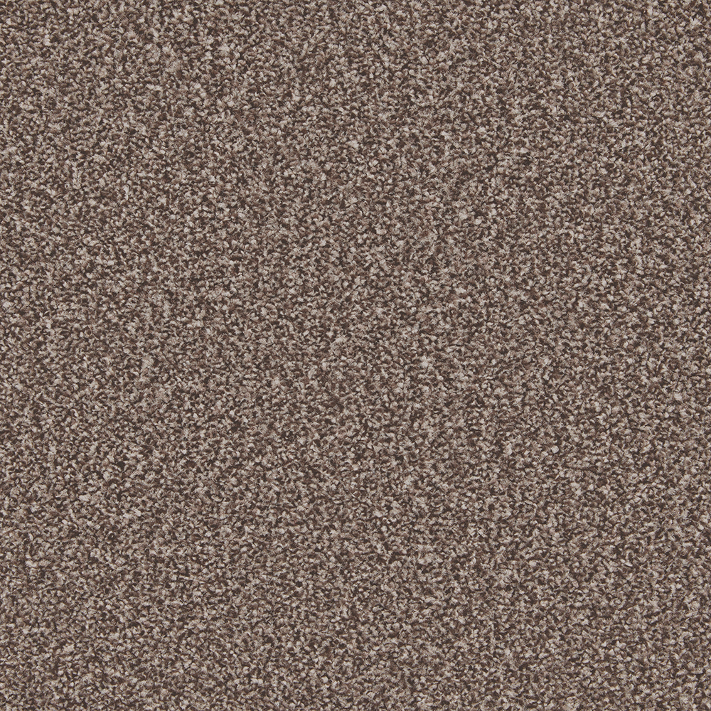 Primo Ultra – Stainfree, Durable, Bleach Cleanable Carpet | Shaw Carpets