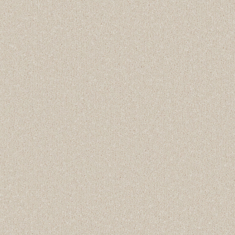 Primo Ultra – Stainfree, Durable, Bleach Cleanable Carpet | Shaw Carpets